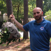 Gallery | Cary, Raleigh & Holly Springs, NC | Reliant Pest Management